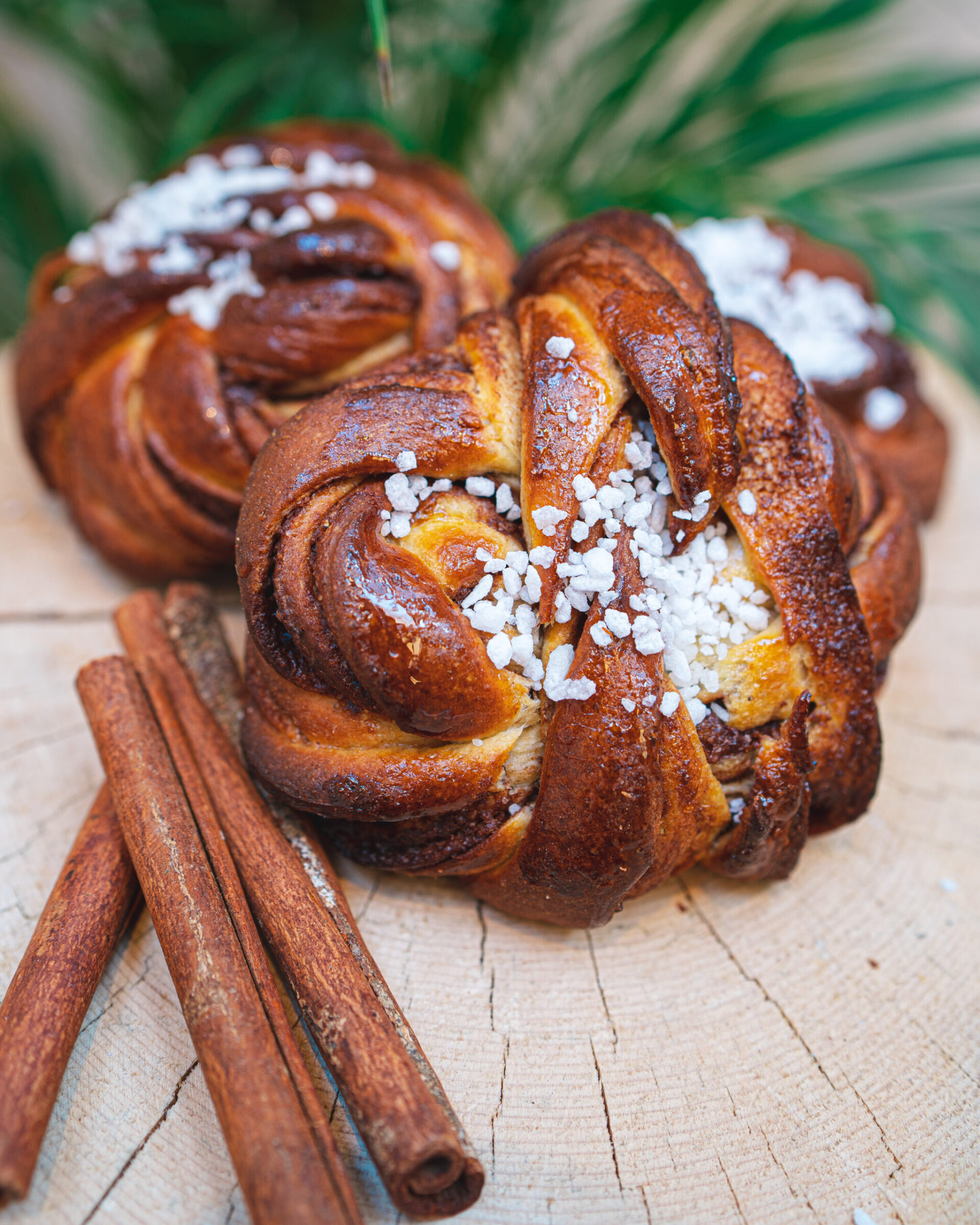 WILD BUNS bakery – artisan scandinavian bakery